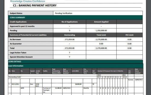 CTOS - How to read credit report : Find Out How Your Credit Is Doing