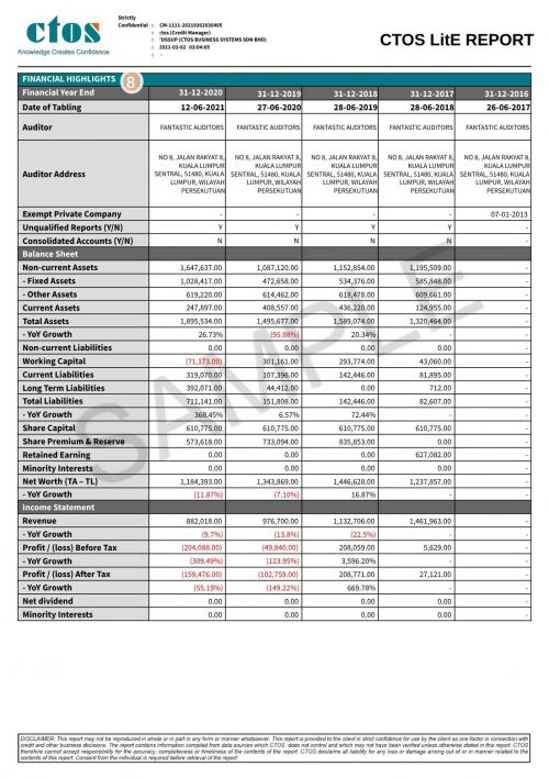 How To Read CTOS Lite Report - CTOS - Malaysia's Leading Credit ...